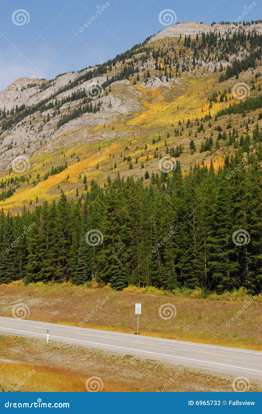 Roadside Mountains and Forests Stock Photo - Image of bush, hillside ...