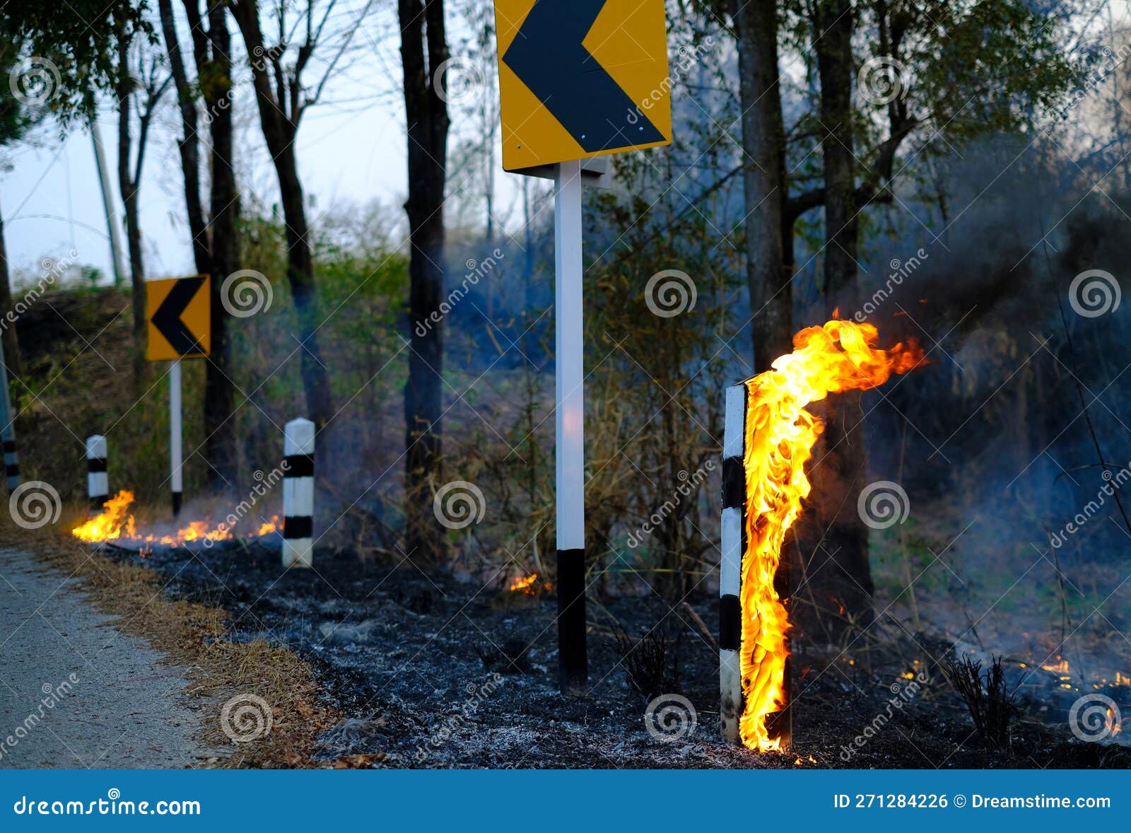 Roadside Pillar Pole is Burning with Flames and There is Smoke Rising ...
