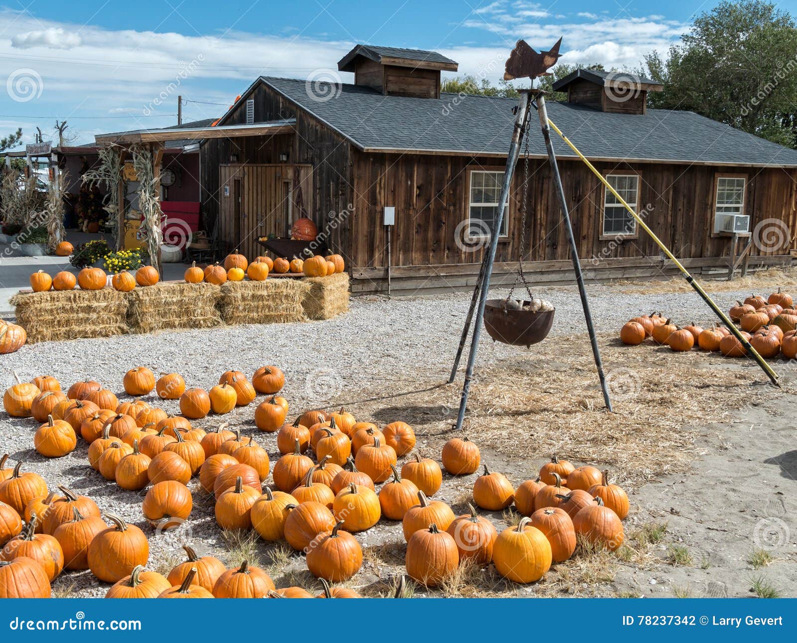 Roadside Produce Stand and Pumpkin Patch Stock Photo - Image of ...