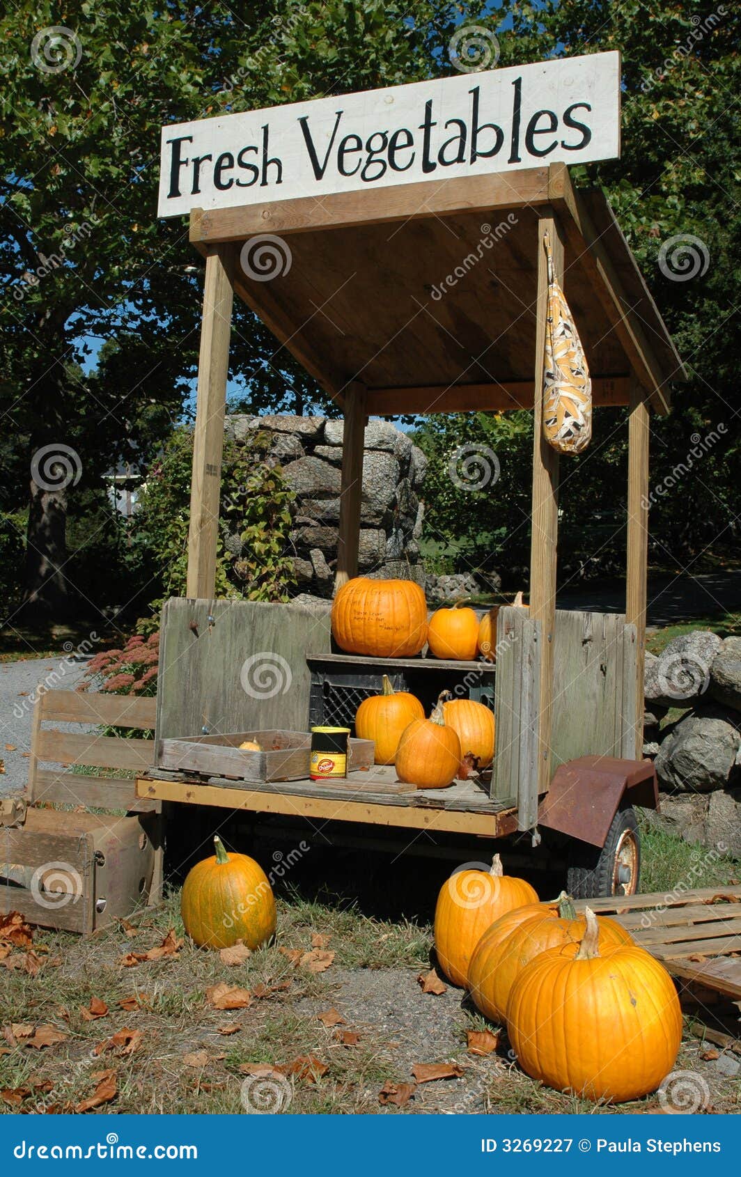 Roadside Pumpkin Stand stock image. Image of nature, sale - 3269227