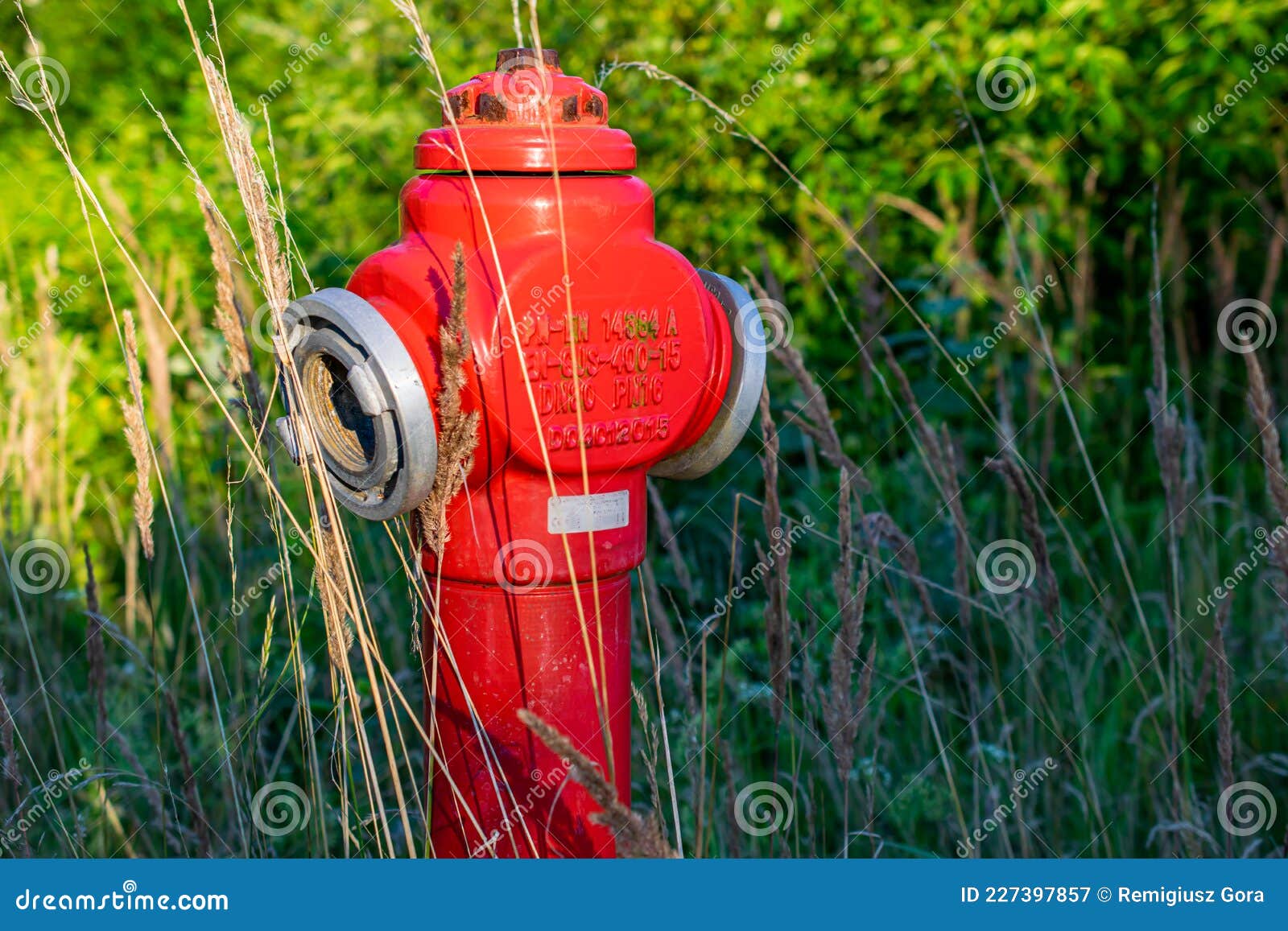 Roadside Red Fire Hydrant among Grasses Stock Image - Image of city ...
