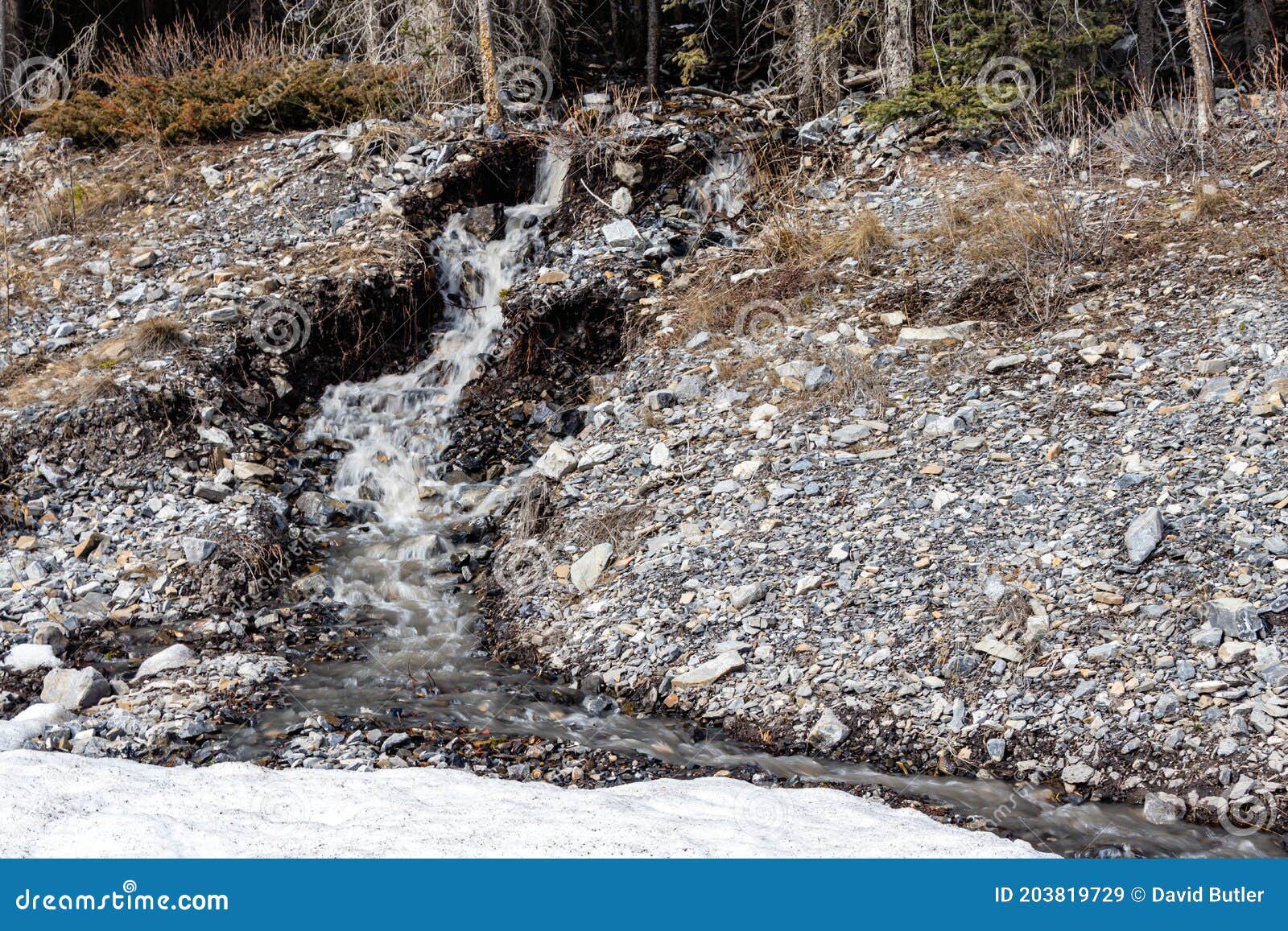 Roadside Run Off. Spray Valley Provincial Park. Alberta Canada Stock ...