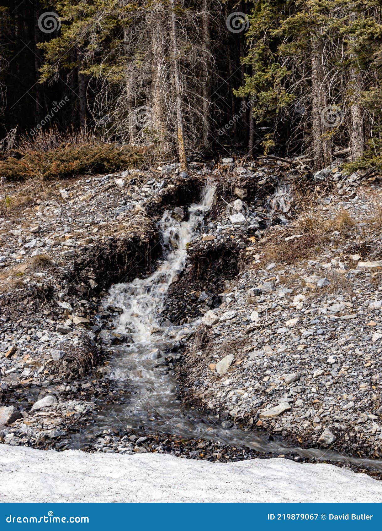 Roadside Run Off. Spray Valley Provincial Park. Alberta, Canada Stock ...