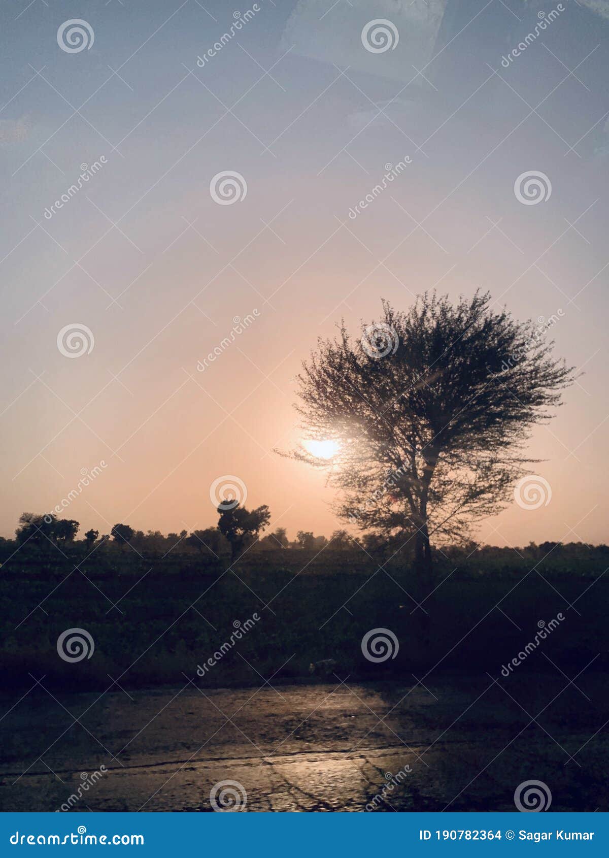 Roadside Sunset stock photo. Image of beautiful, green - 190782364
