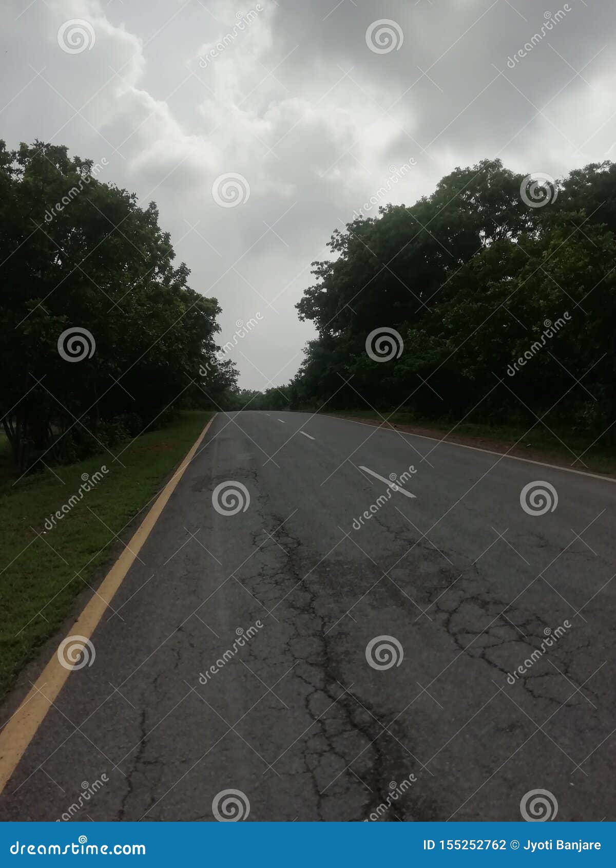 Beautiful Landscape Roadside Trees Image Stock Photo - Image of ...