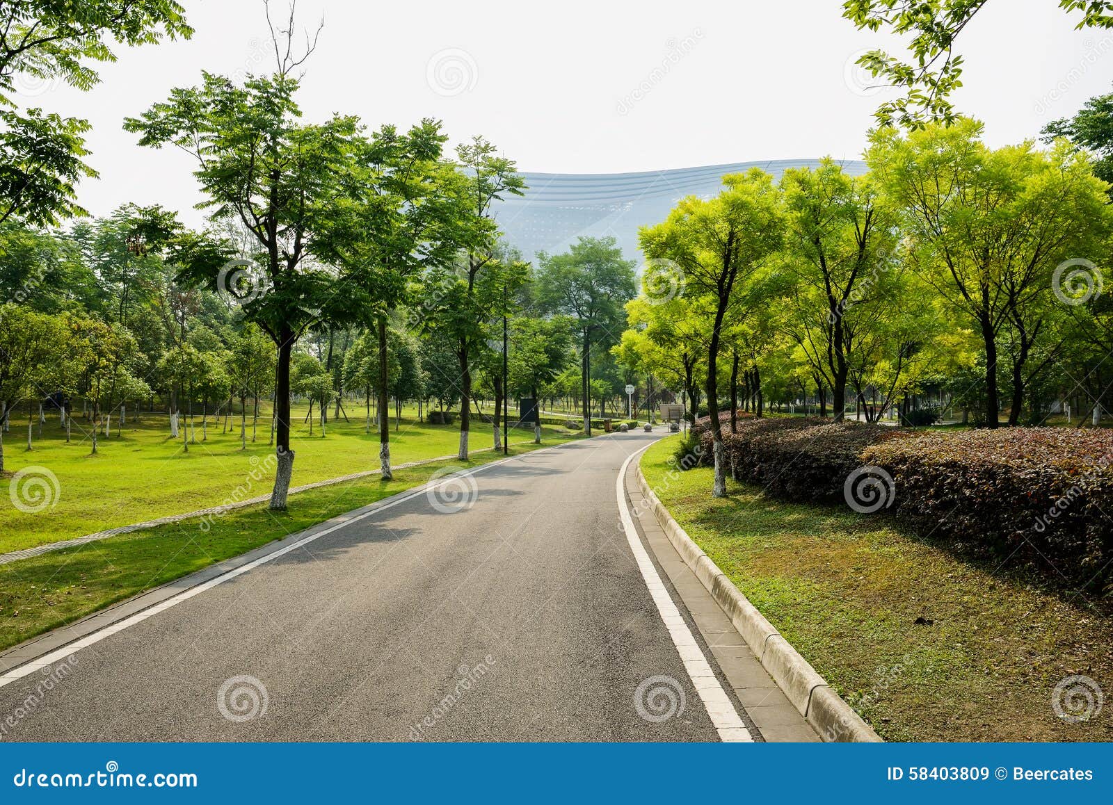 Roadside Trees and Shrubs in Sunny Summer Stock Image - Image of woody ...