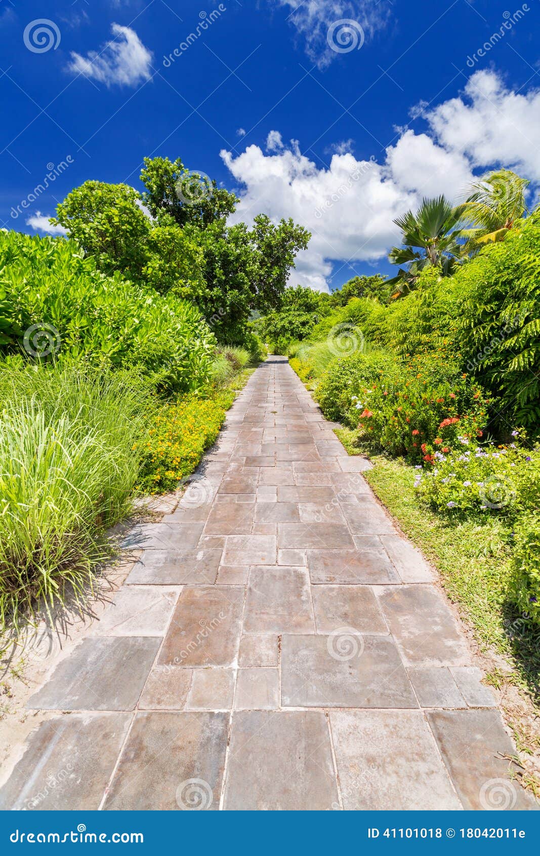 Roadside View of a Beautiful Park with Blue Sky Ba Stock Photo - Image ...