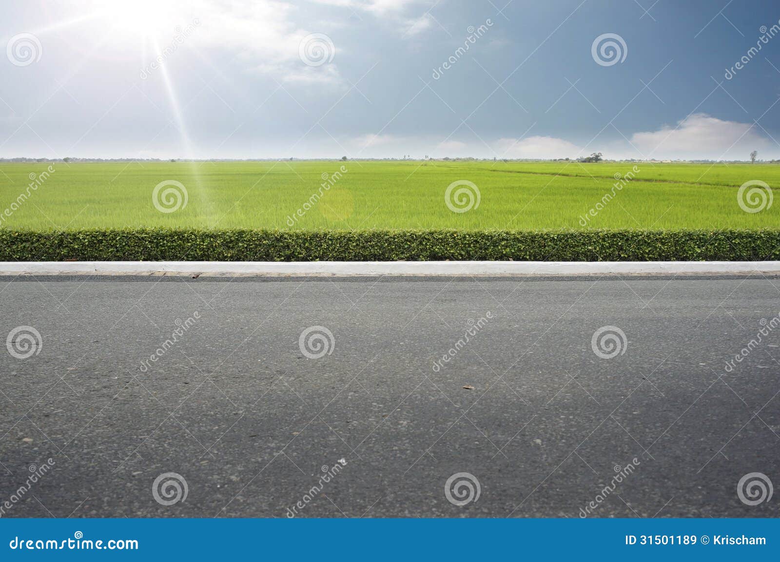 Roadside stock image. Image of forest, footpath, hill - 31501189