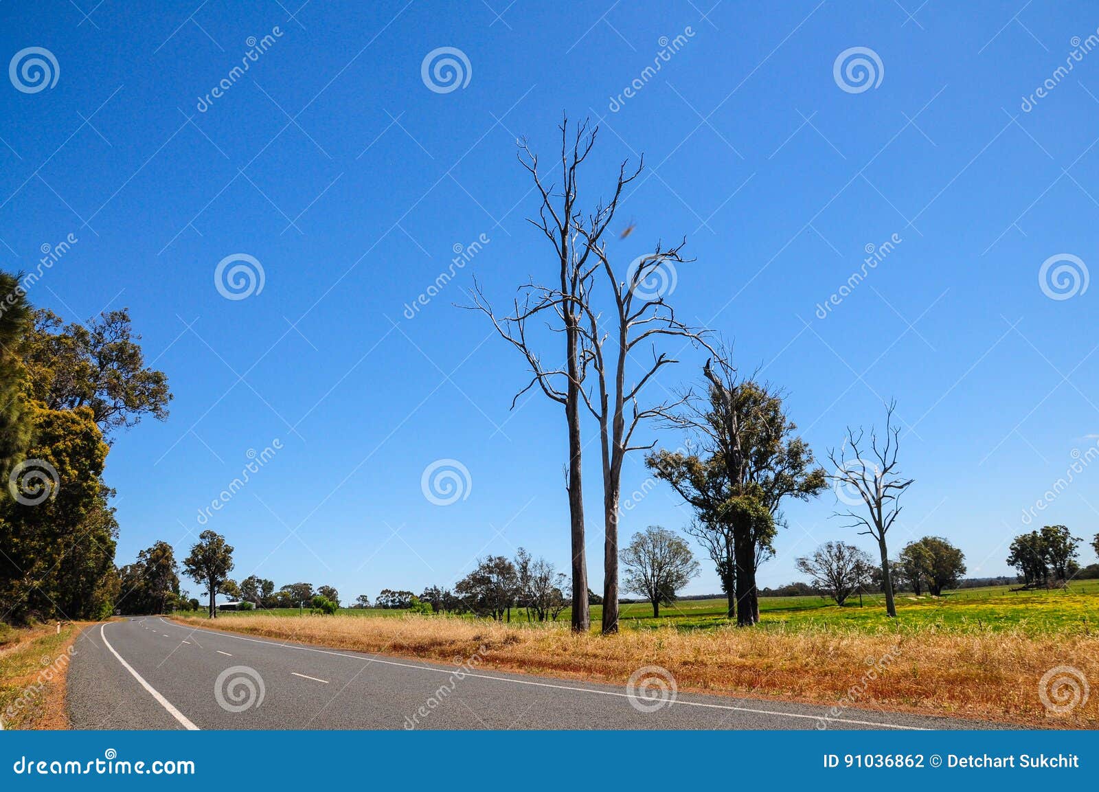 Roadside View on Spring Design. Stock Photo - Image of scenery, blue ...
