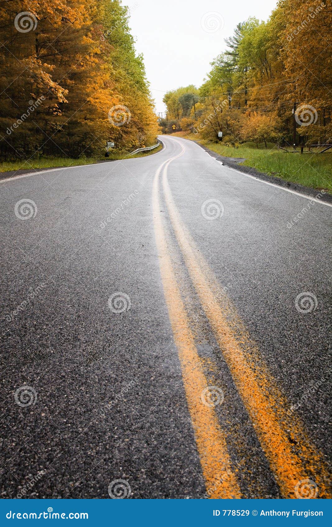 Roadway stock image. Image of habitat, mountain, color - 778529