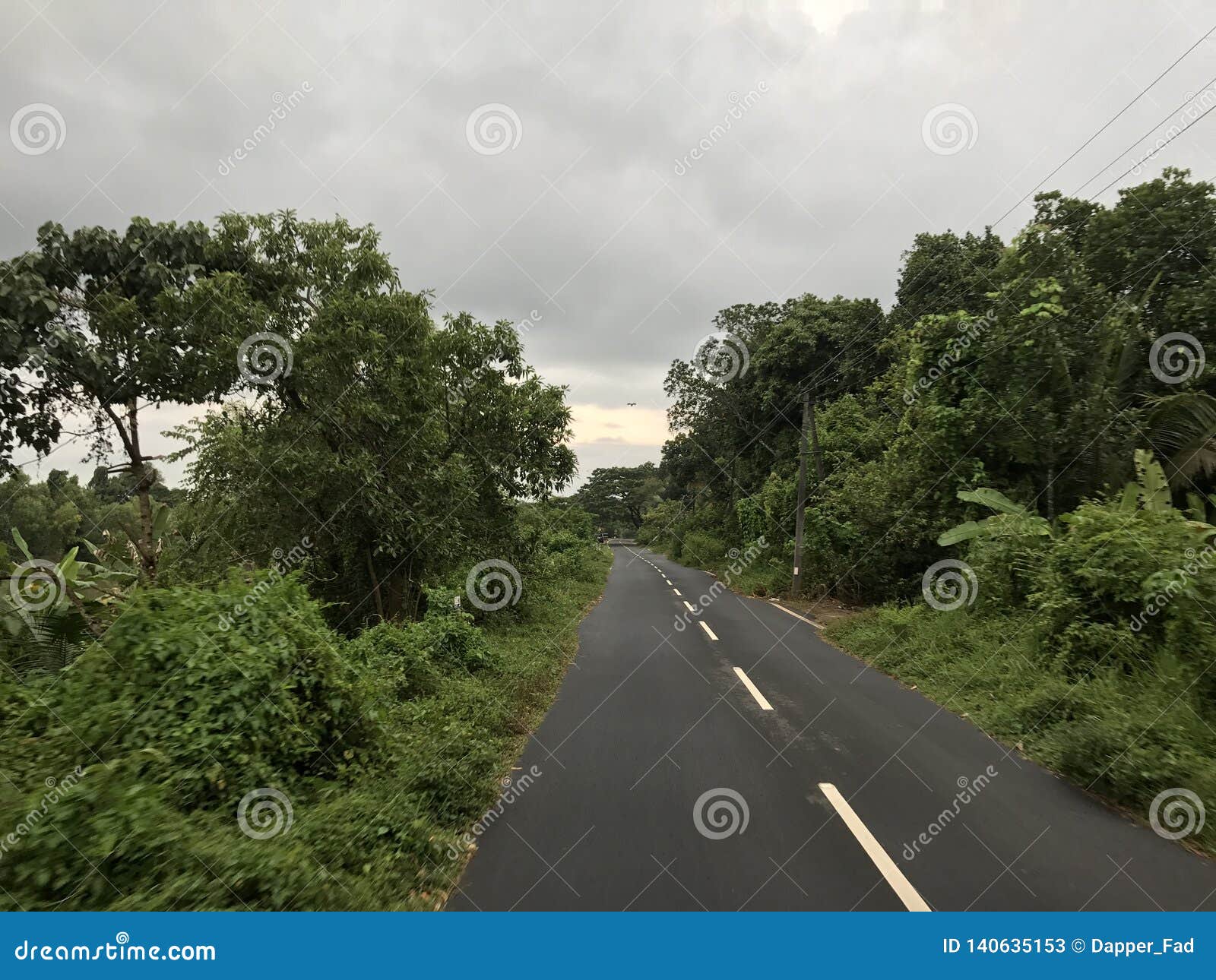 Roadway on Forest side stock image. Image of evening - 140635153