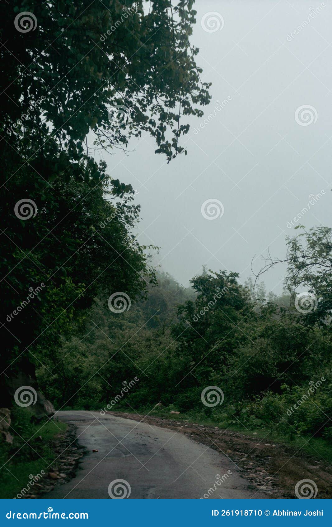 Spooky Pathways With Green Lawns, In The Garden At Night. Top View Of ...