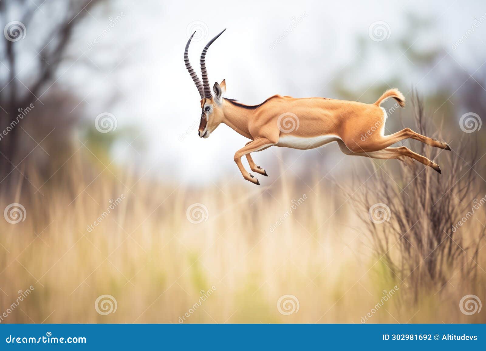 Roan Antelope Calf Lying In The Grass Royalty-Free Stock Photography ...