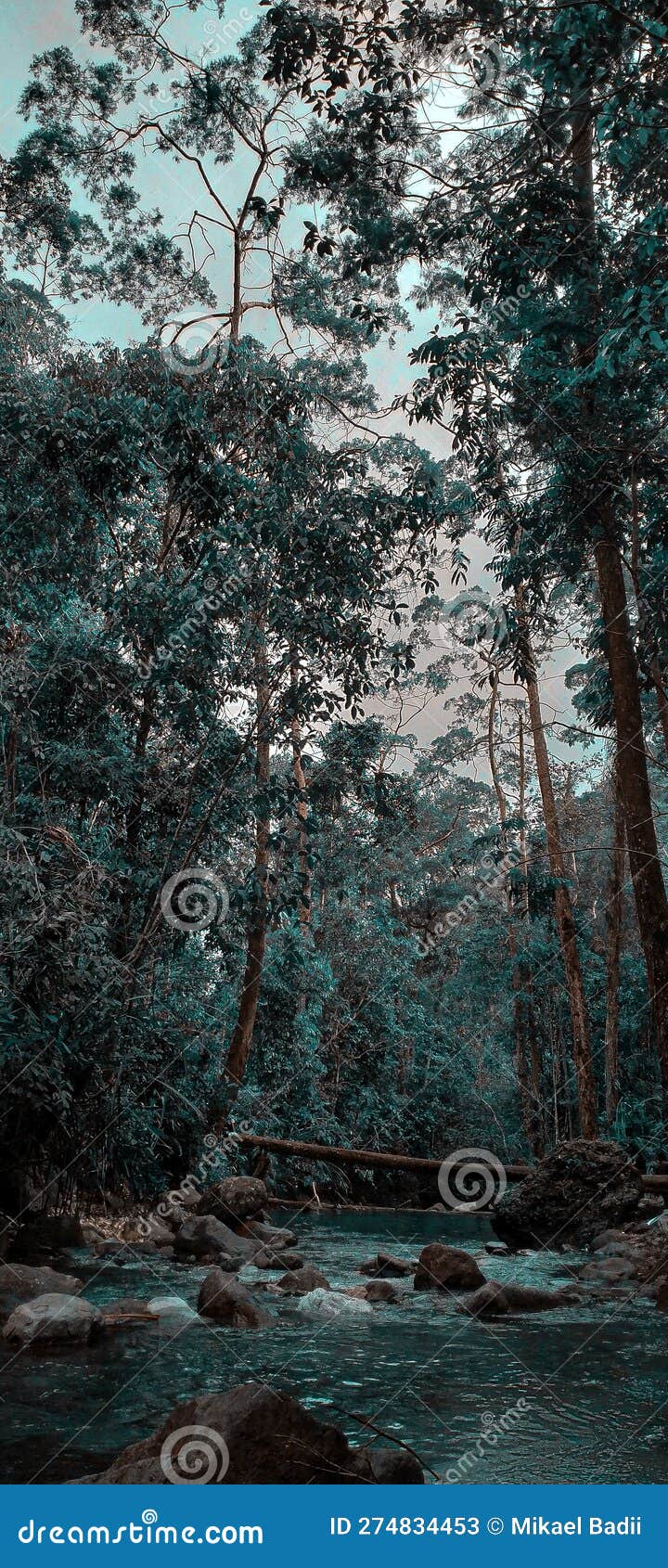 The Roar of the Water Times the Hope in the Middle of the Trees. Stock ...