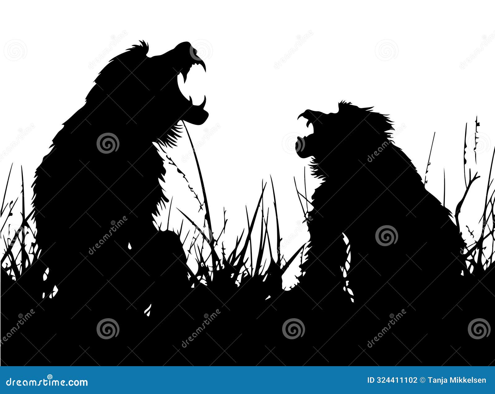 Roaring Baboons Facing Each Other in a Grassy Environment, Representing ...