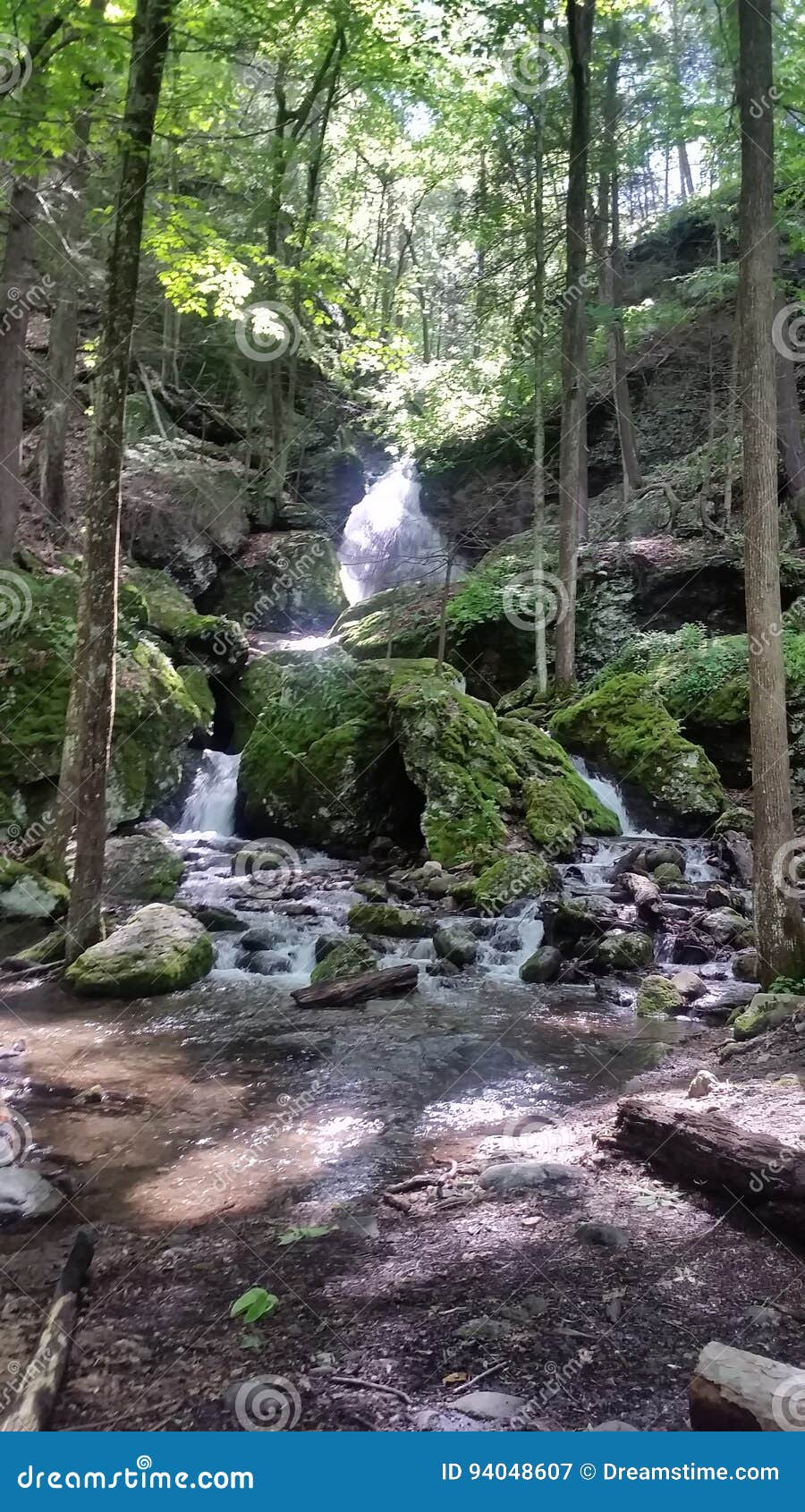 Roaring brook falls stock image. Image of waterfalls - 94048607