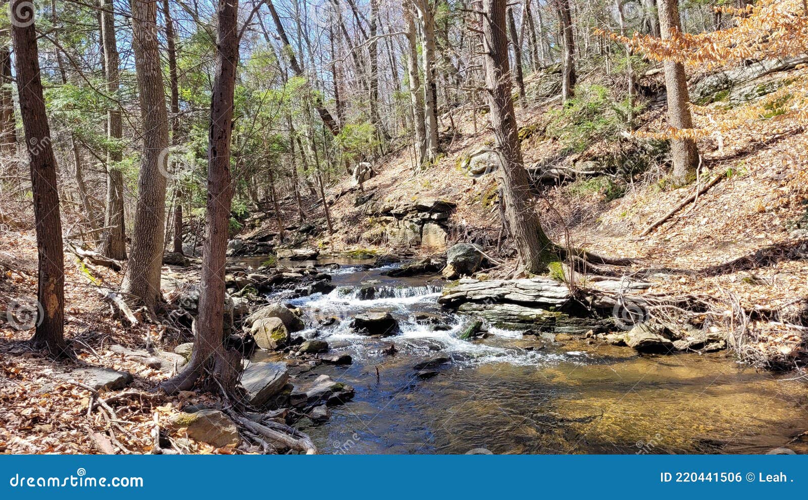 Roaring Brook River Stream Small Tumbling Waterfall Stock Photo - Image ...