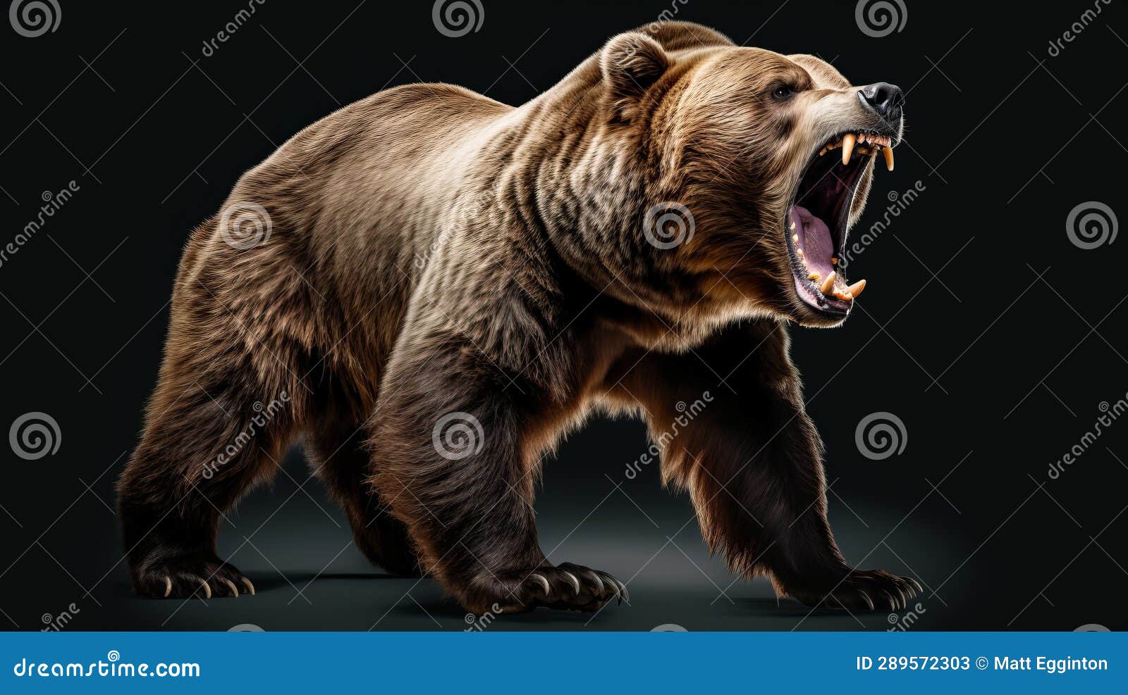 A Roaring Brown Bear in the Wild Stock Illustration - Illustration of ...