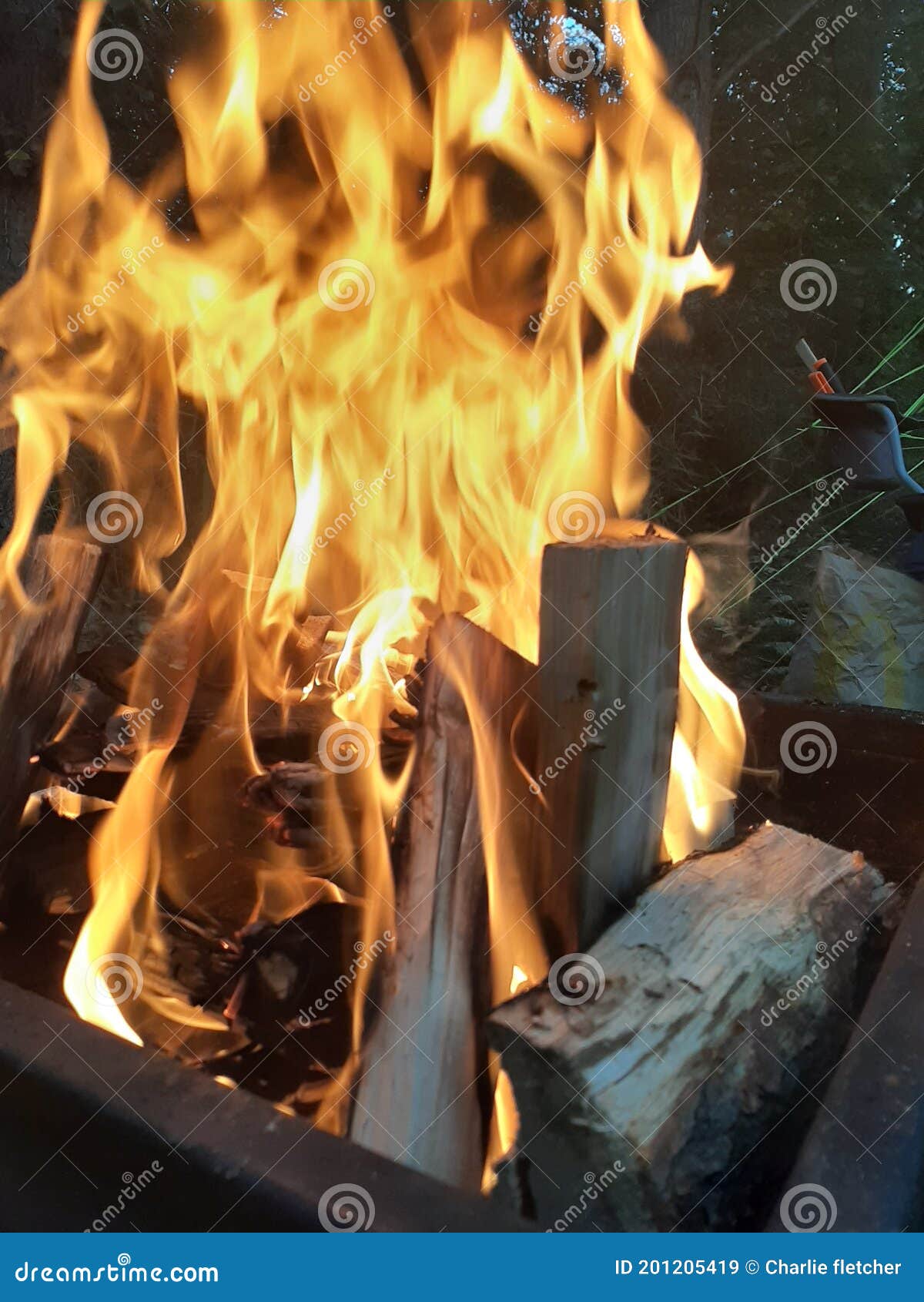Roaring campfire stock image. Image of wood, intense - 201205419