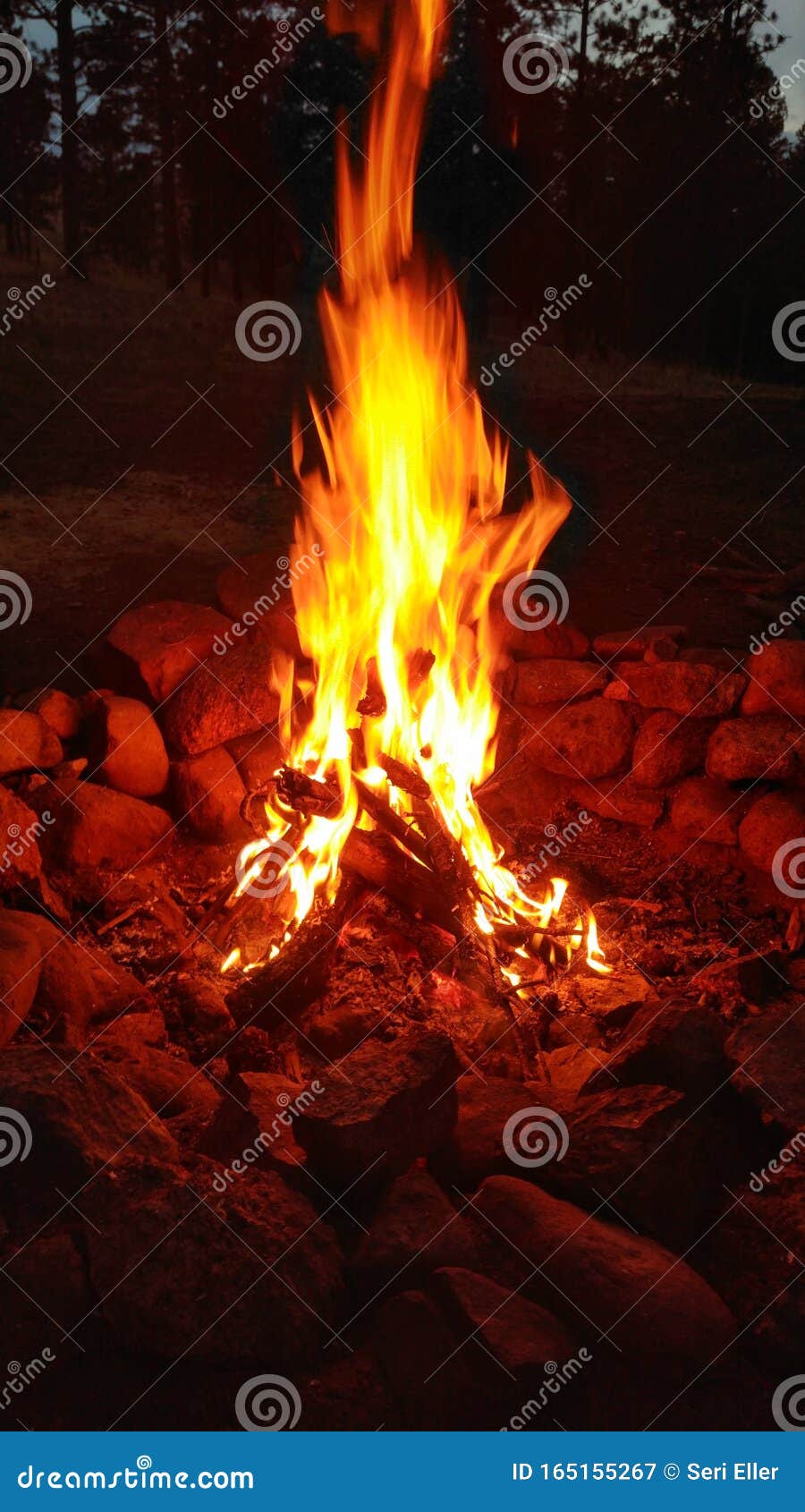 Roaring Fire stock image. Image of fire, sitting, wonderful - 165155267