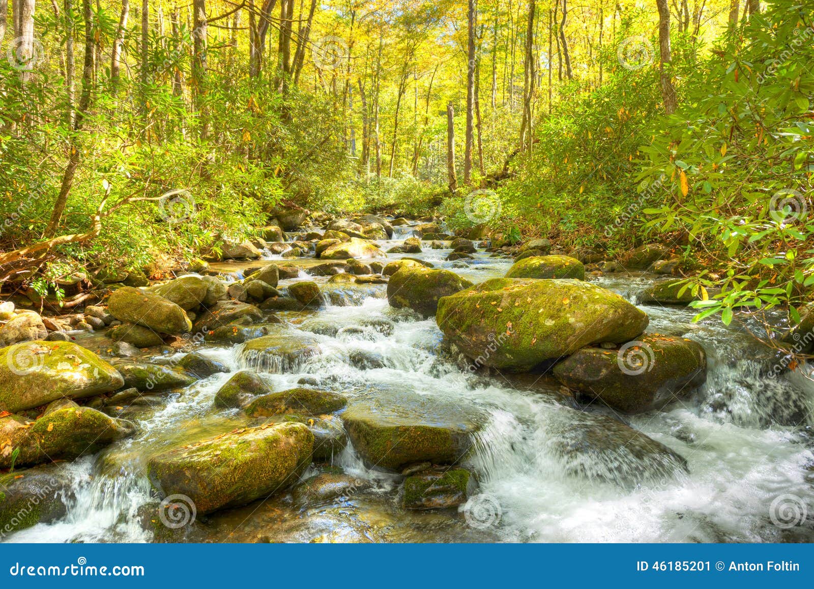Roaring Fork stock image. Image of mountains, boulders - 46185201
