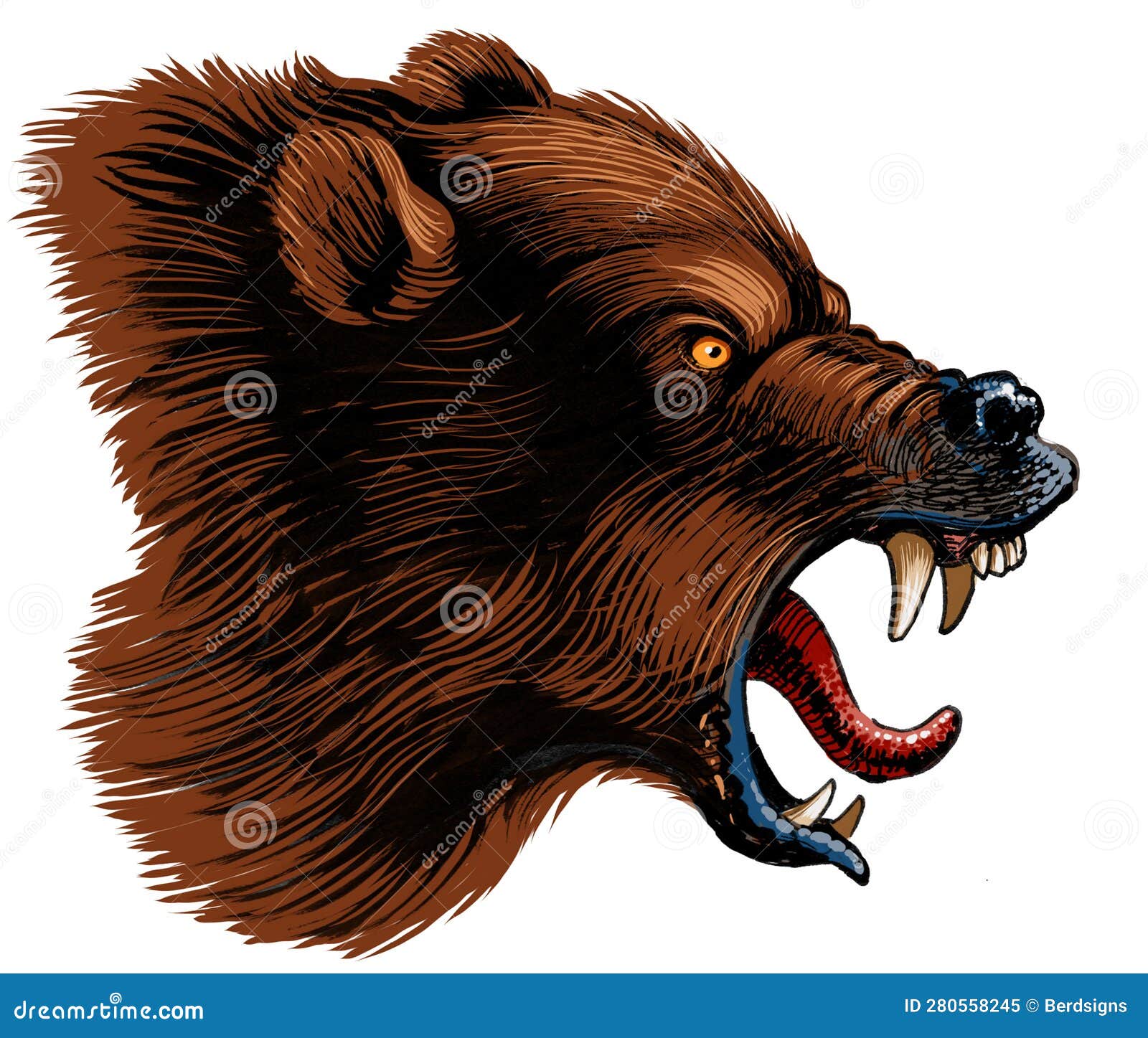 Roaring grizzly bear stock illustration. Illustration of grizzly ...