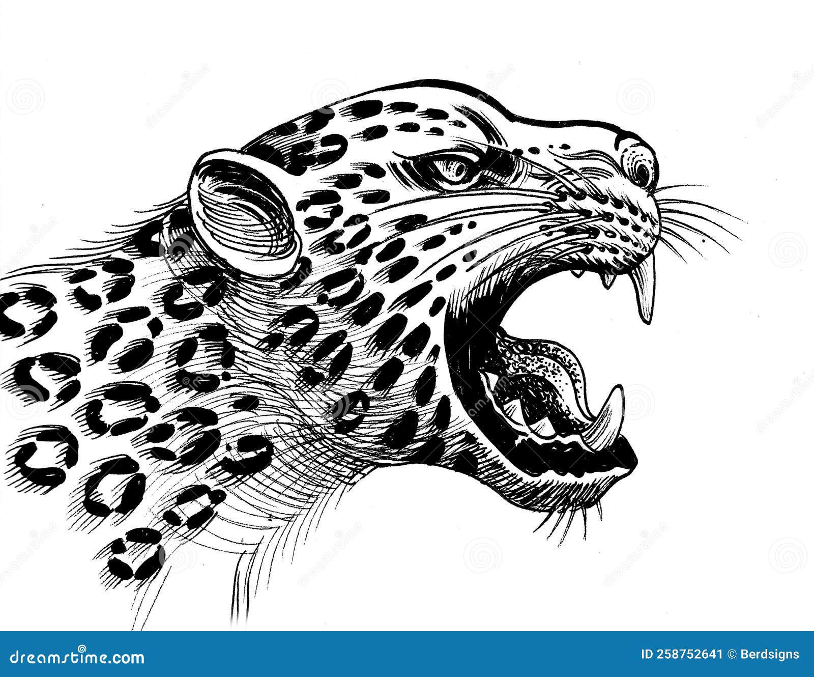 Roaring leopard stock illustration. Illustration of head - 258752641