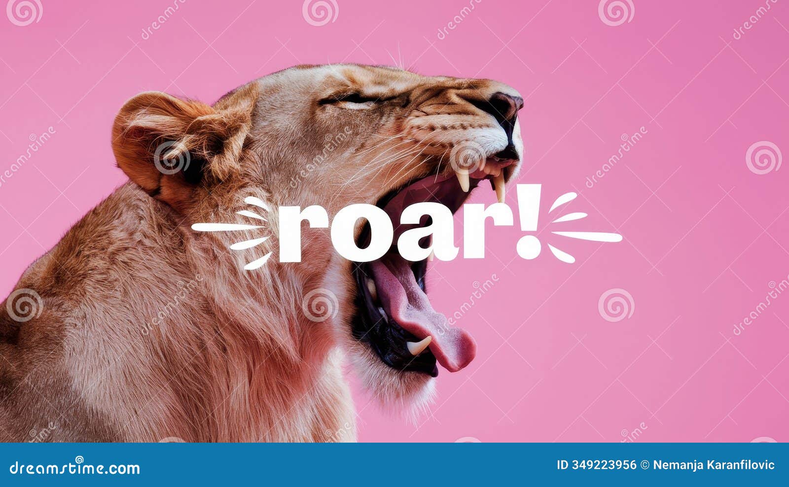 Roaring Lion with ROAR! Text on Pink Gradient Background Stock ...