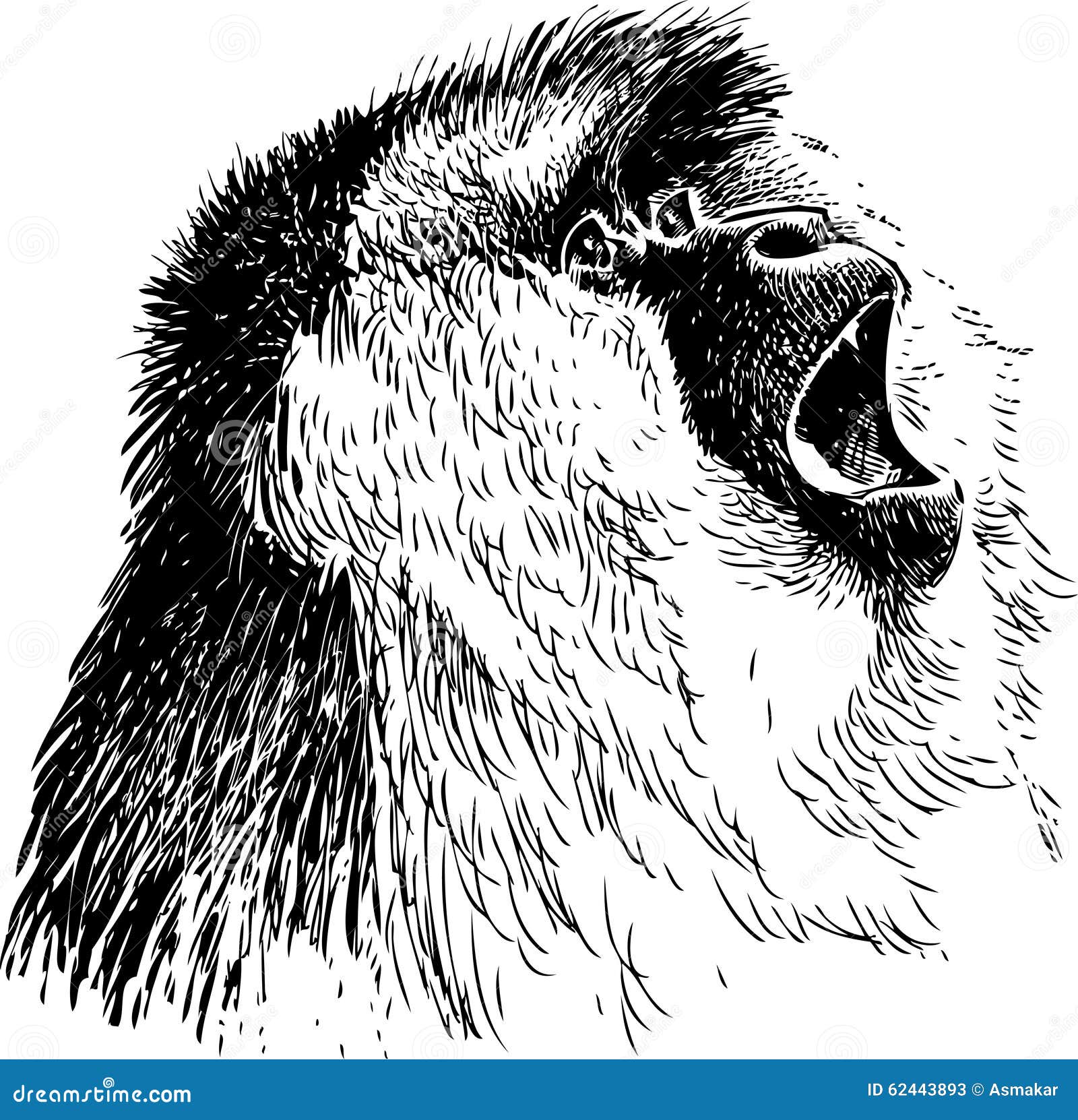 Roaring monkey stock vector. Illustration of macaque - 62443893