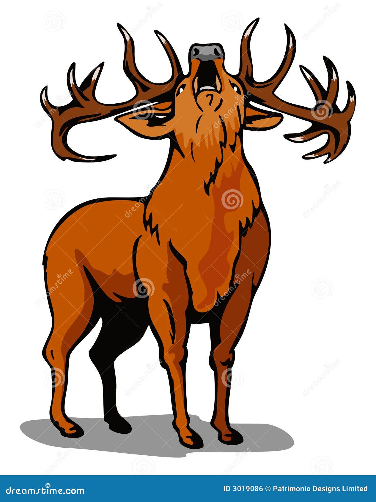 Roaring red deer stock illustration. Illustration of stag - 3019086