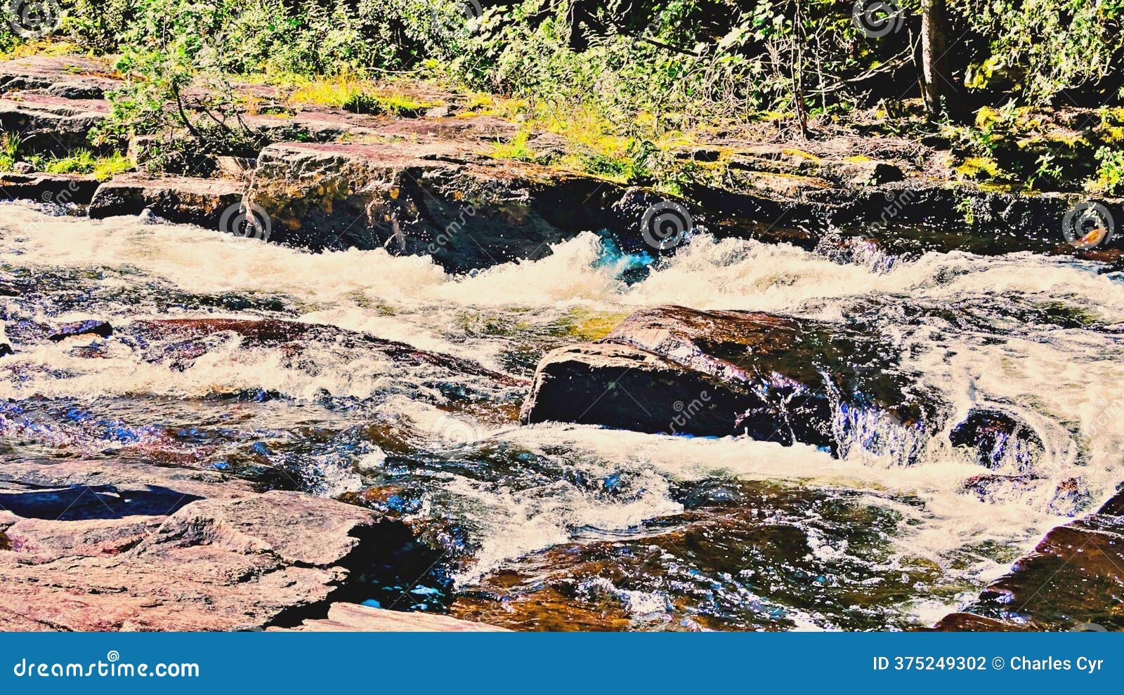 Roaring River Falls, Kings Canyon National Park Royalty-Free Stock ...