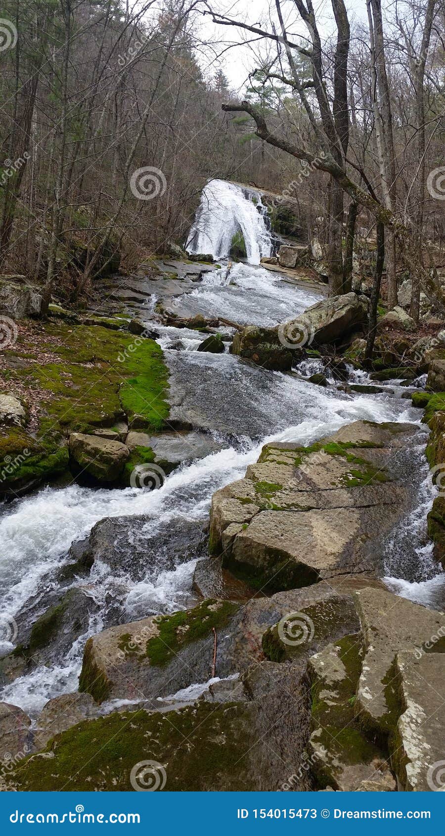 Scary Ugly Wilderness Fall Photos - Free & Royalty-Free Stock Photos ...