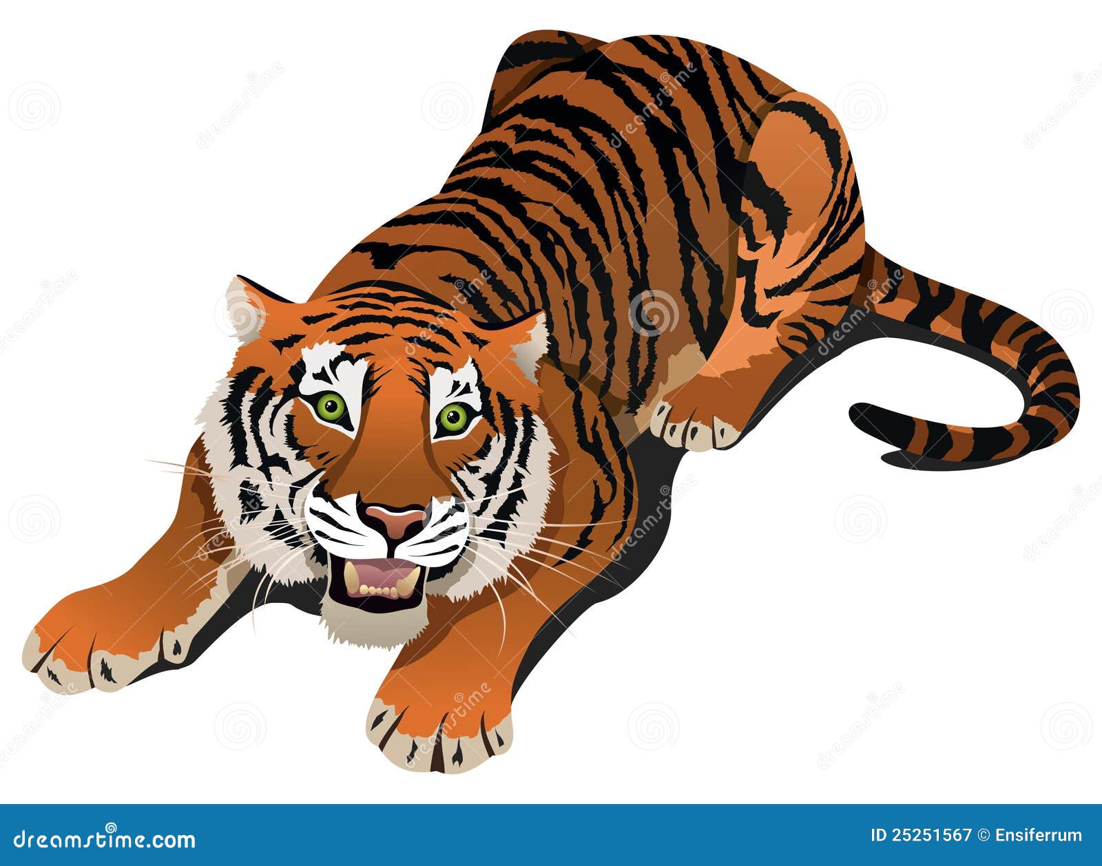 Roaring Angry Tiger Cartoon Vector | CartoonDealer.com #53216745