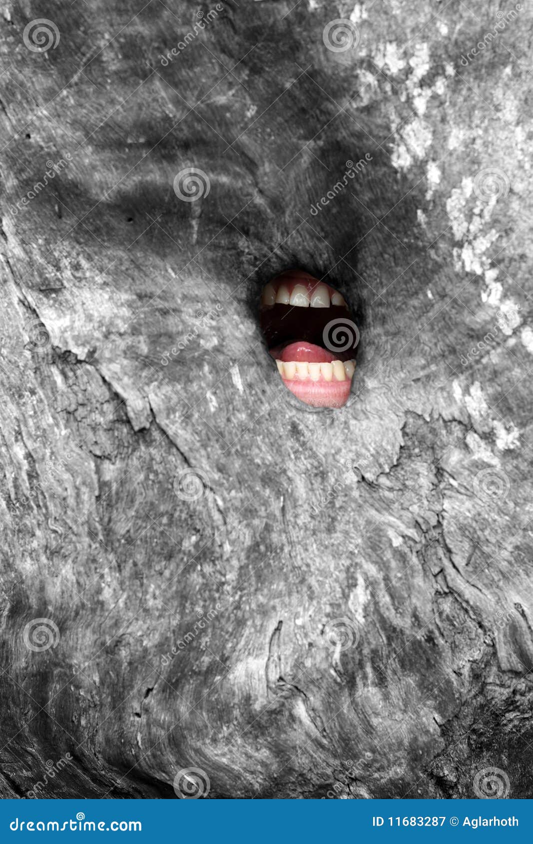 Roaring tree stock image. Image of nature, shout, forest - 11683287