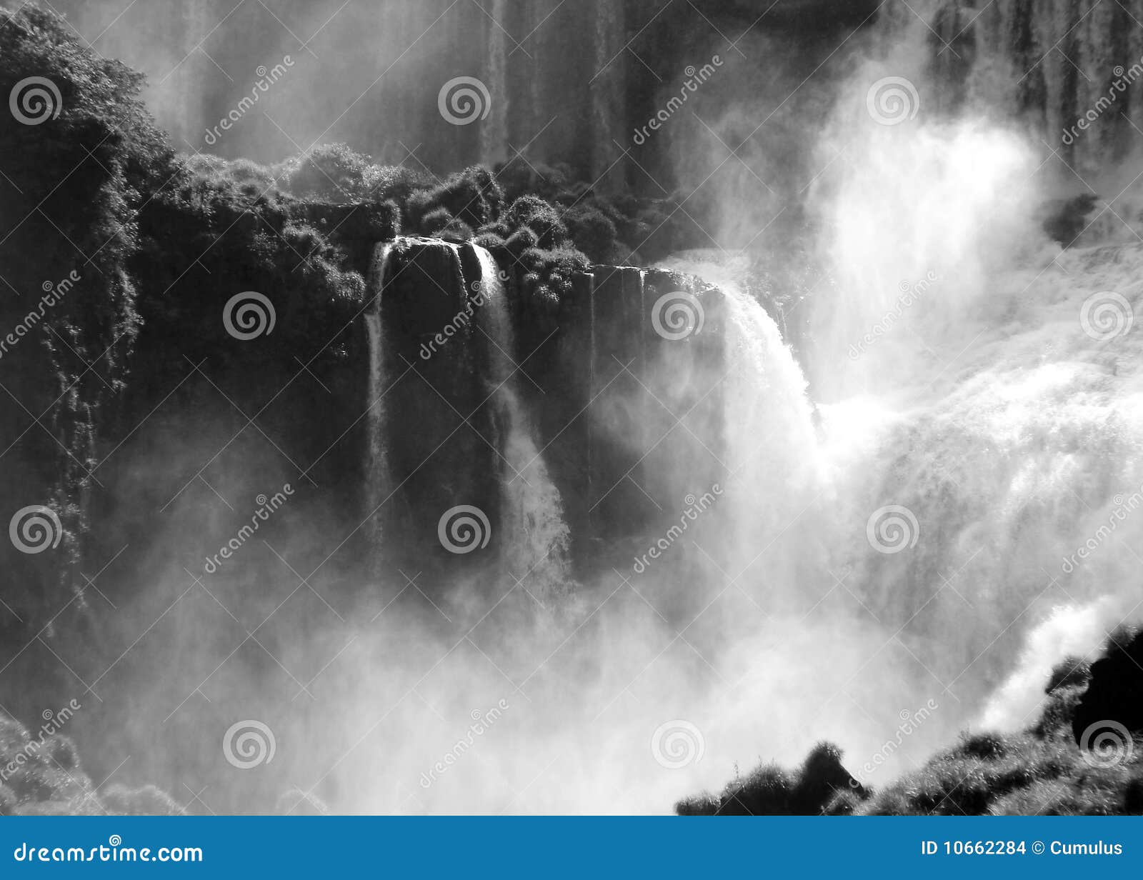 Roaring waterfall. stock photo. Image of nature, rocks - 10662284