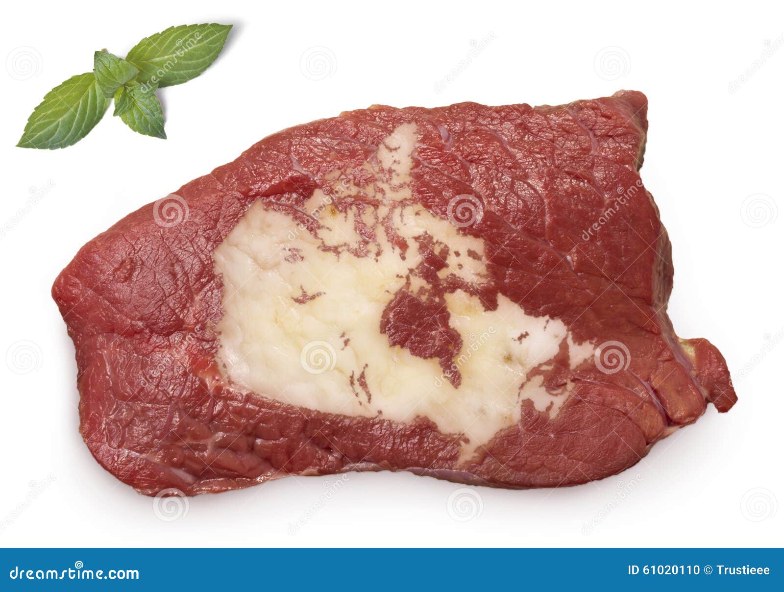 Roast Beef Meat and Fat Shaped As Canada.(series) Stock Photo - Image ...