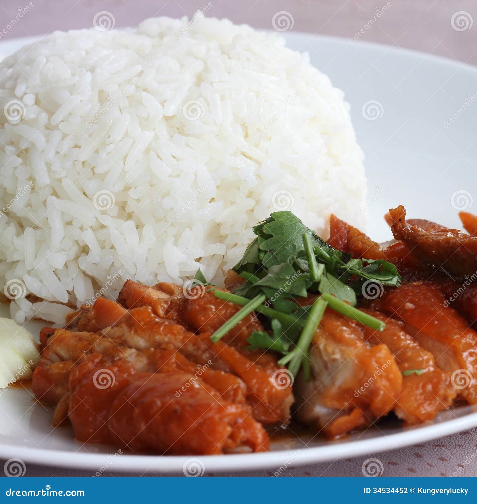 Roast Chicken with rice stock photo. Image of chinese - 34534452