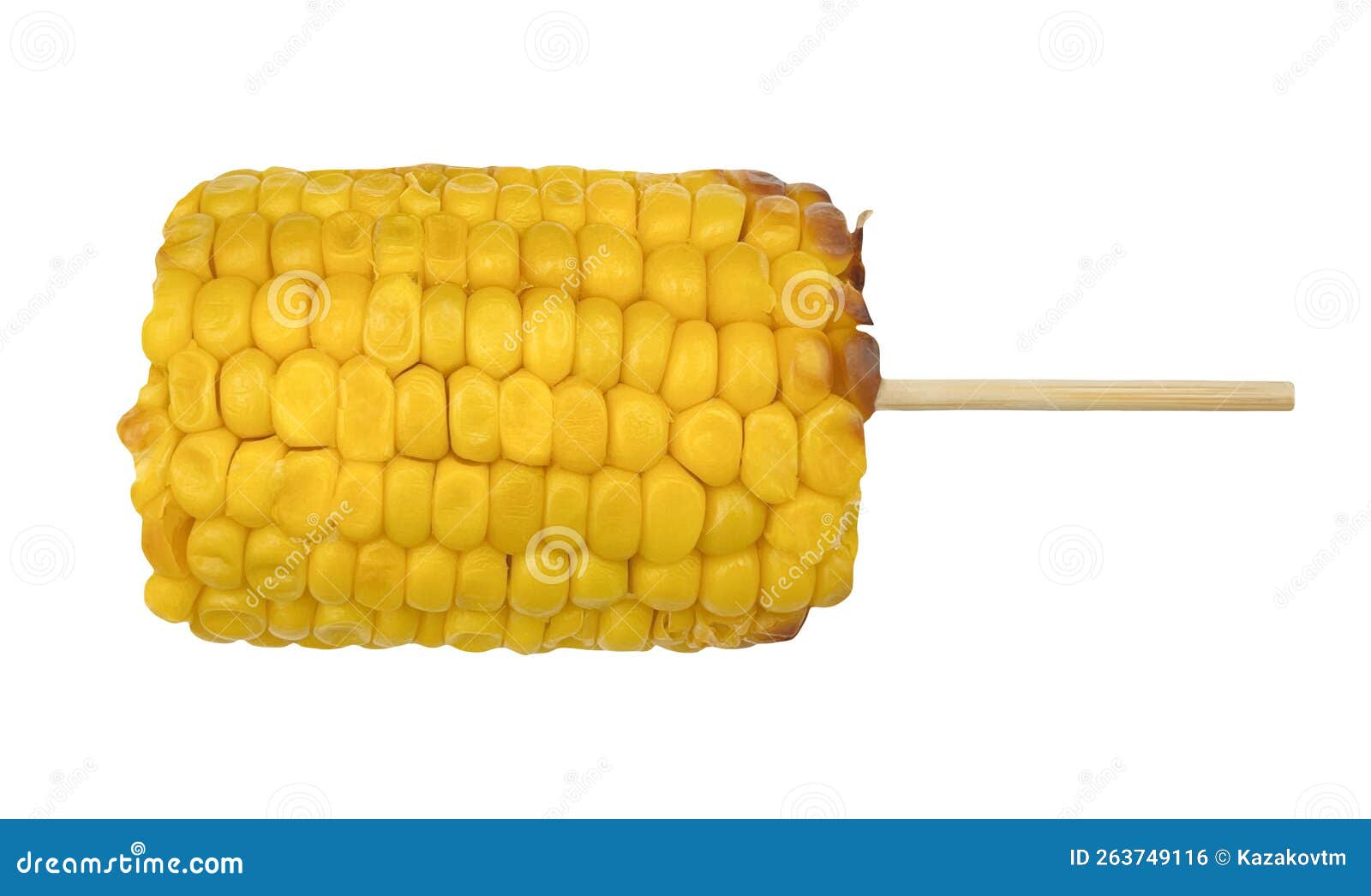 Roast corn on a skewer stock photo. Image of sweet, wooden - 263749116