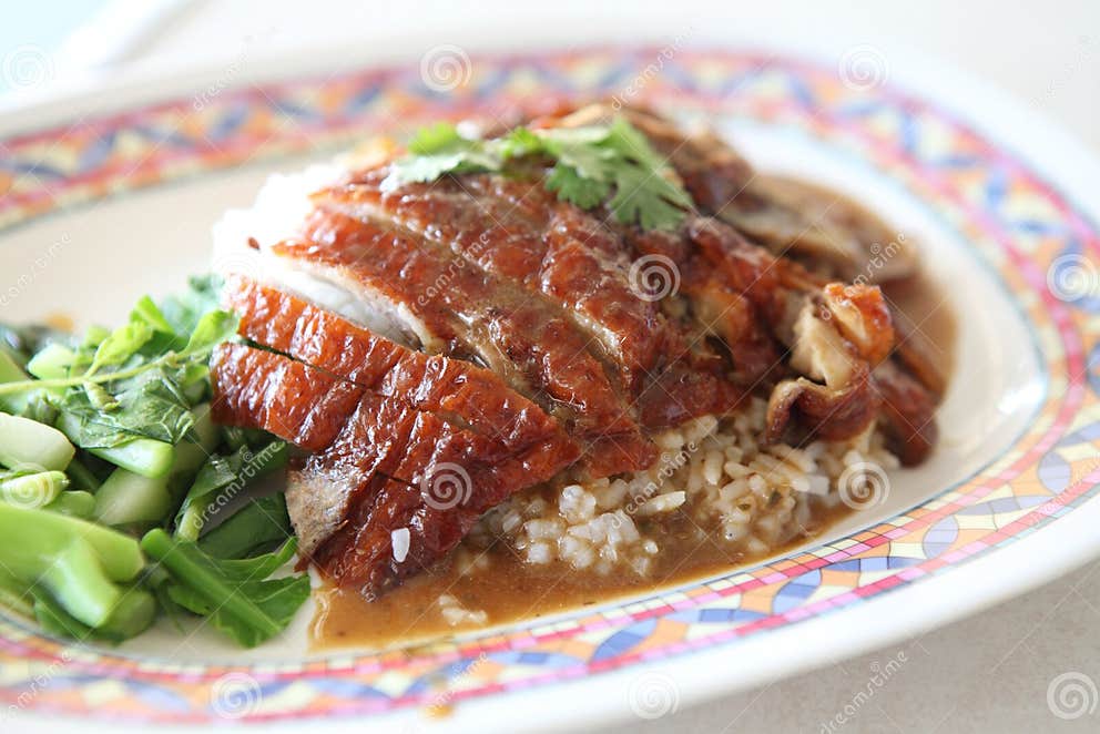 Roast duck over rice stock photo. Image of delicious - 141583646