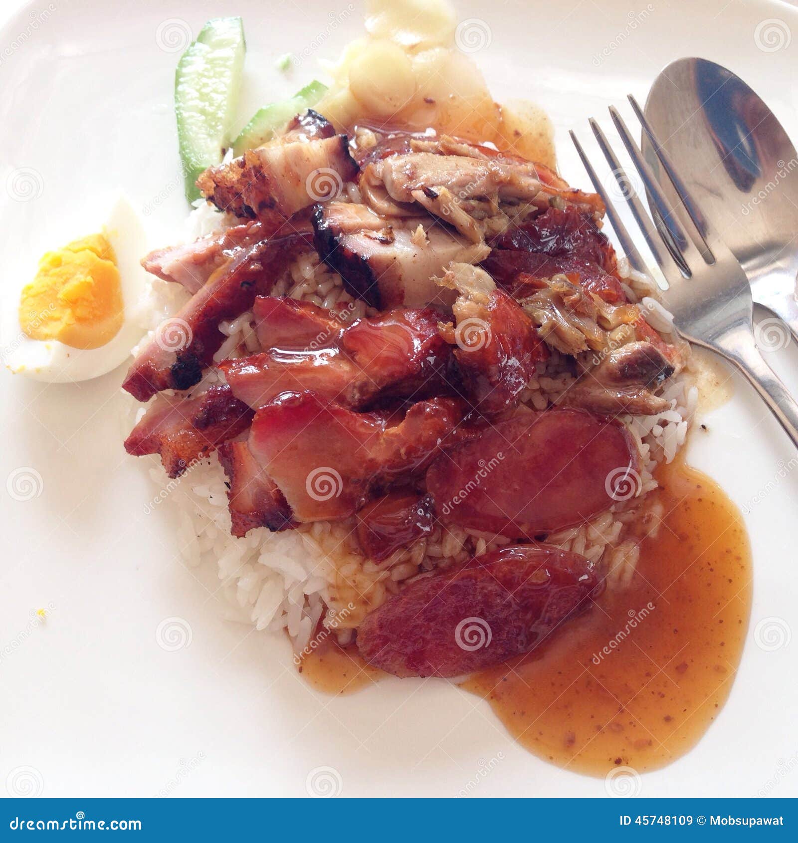 Roast duck over rice stock image. Image of food, duck - 45748109