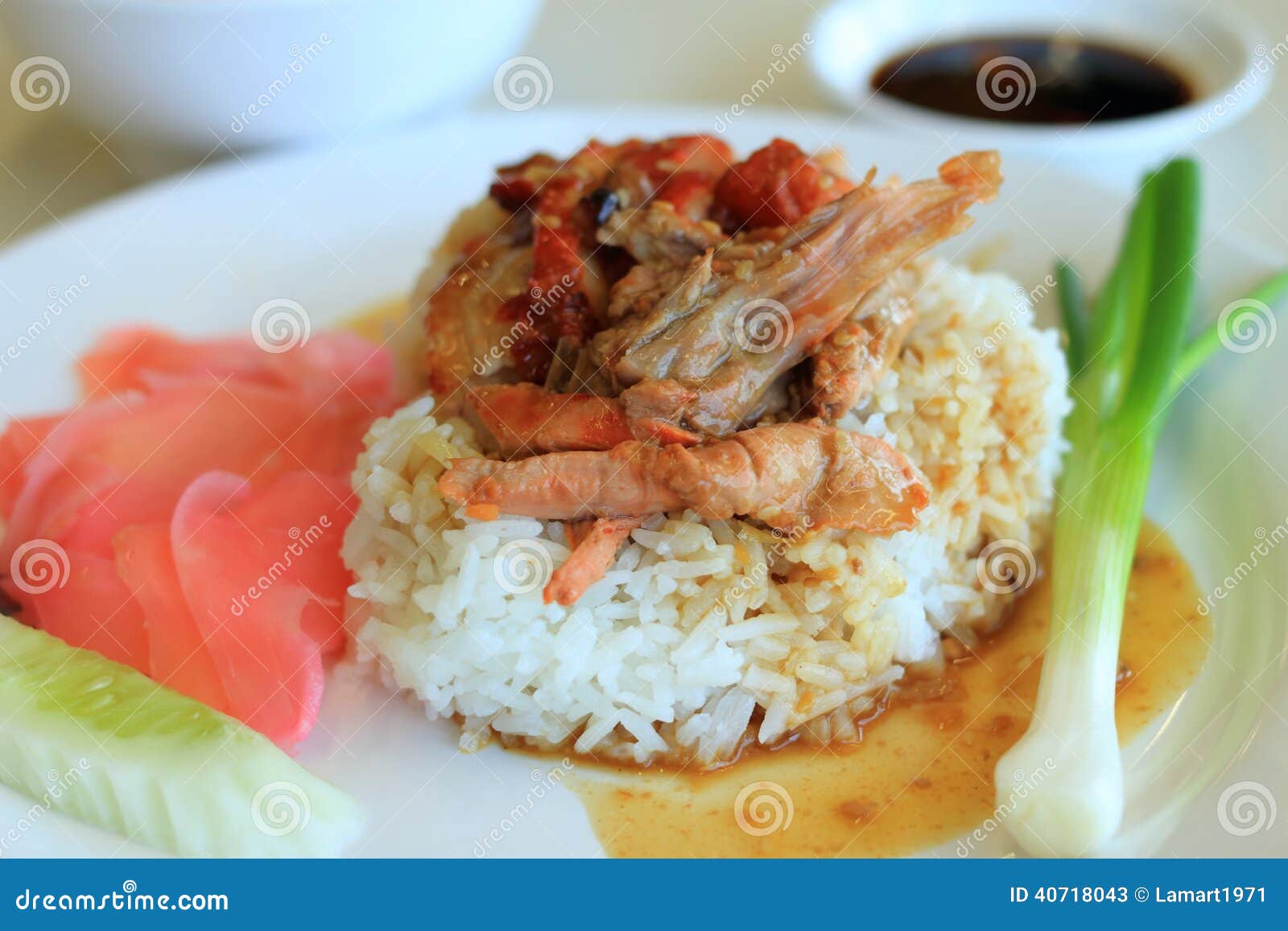 Roast duck over rice stock image. Image of isolate, asian - 40718043