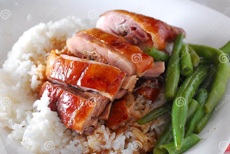 Roast duck rice stock photo. Image of rice, dish, duck - 26180768