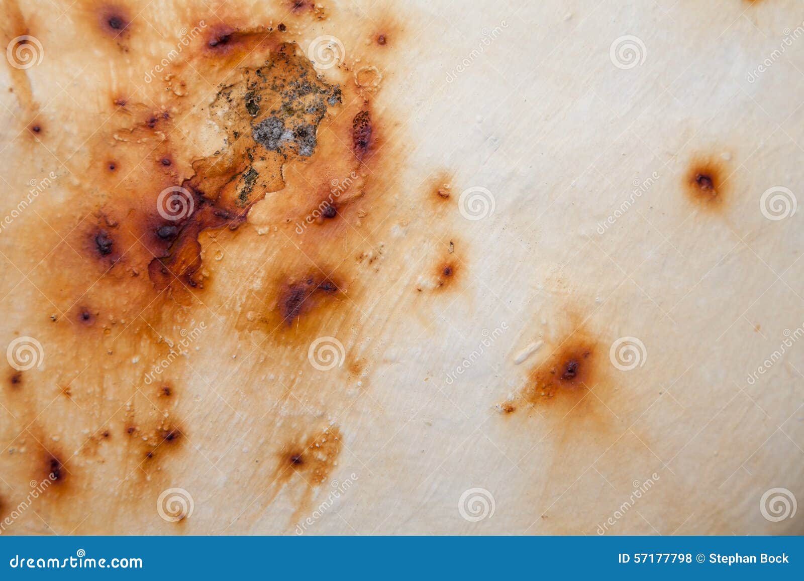 Roast on light background stock photo. Image of outdoor - 57177798