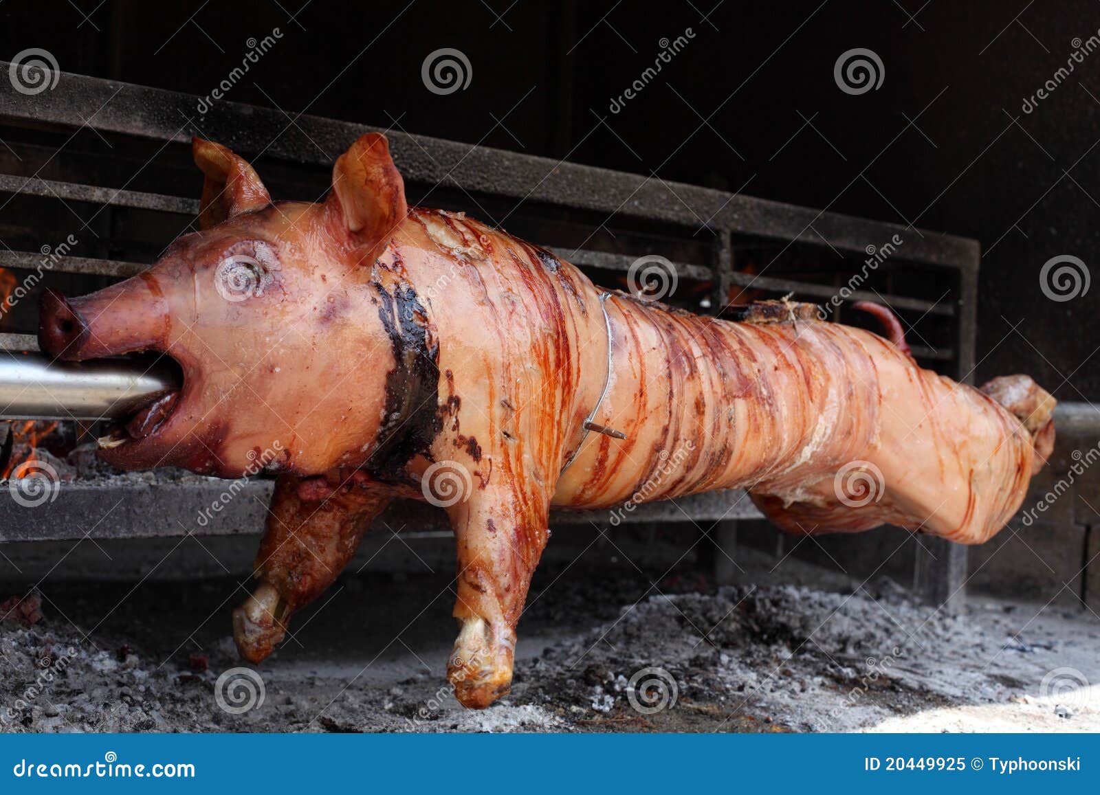 Roast pig stock image. Image of cooking, traditional - 20449925