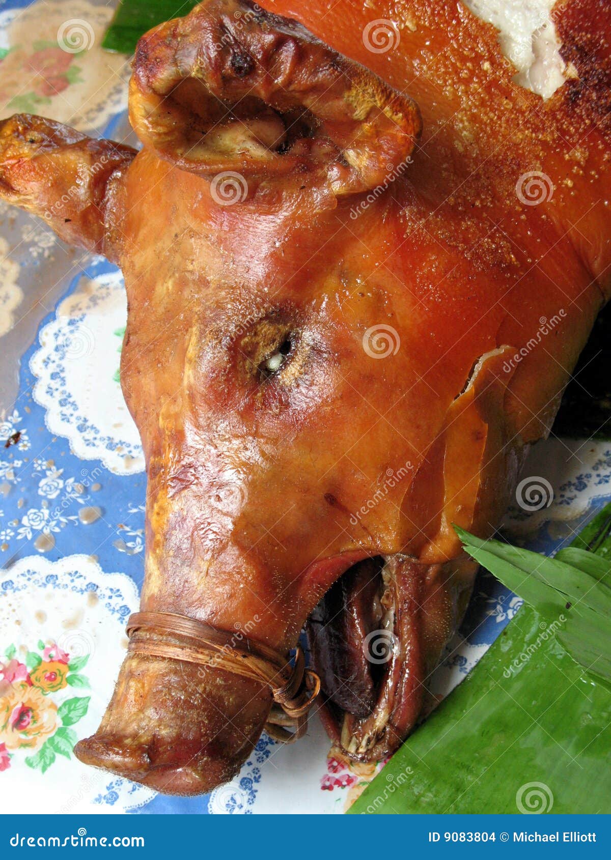 Roast Pig stock photo. Image of native, grease, mouth - 9083804