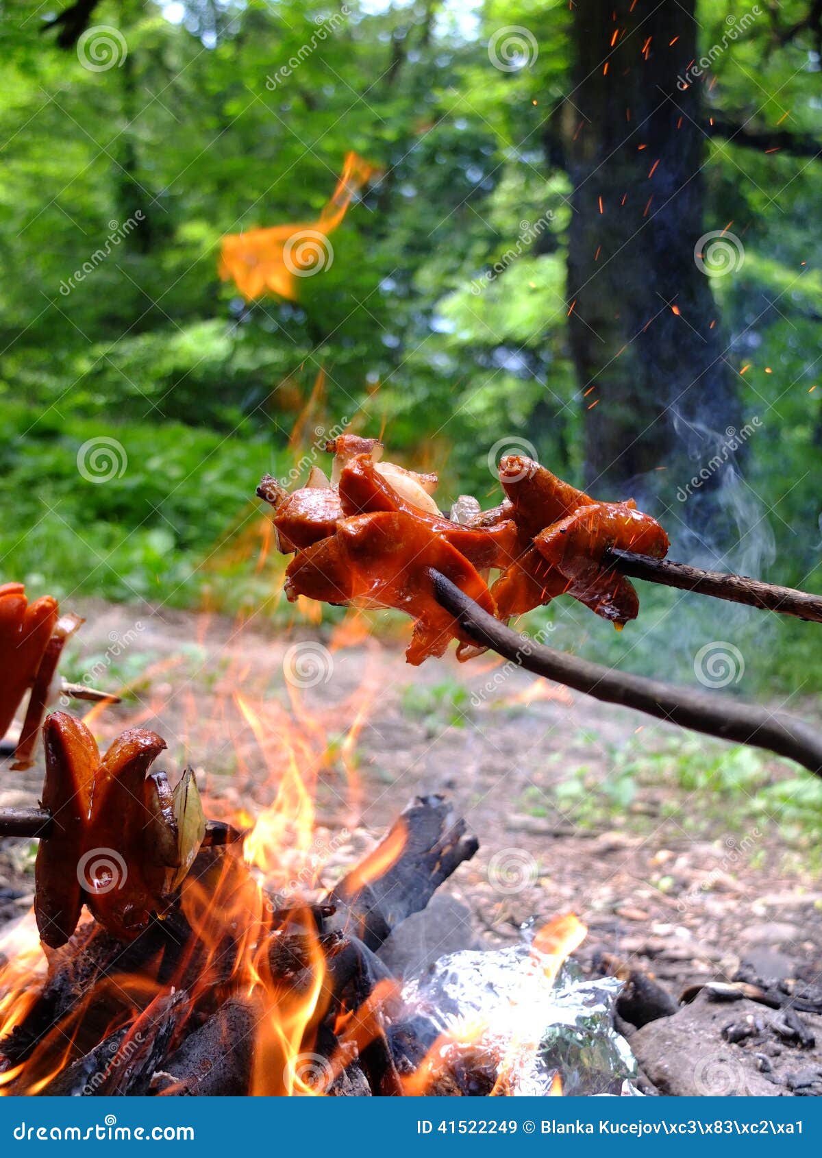 Roast Sausages Over a Fire. Stock Image - Image of firewood, dinner ...