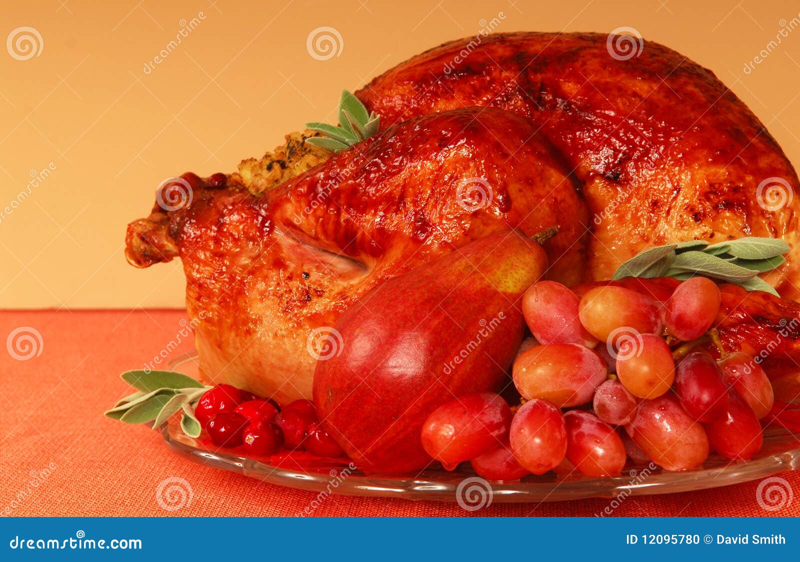 Roast turkey stock photo. Image of golden, platter, cranberry - 12095780