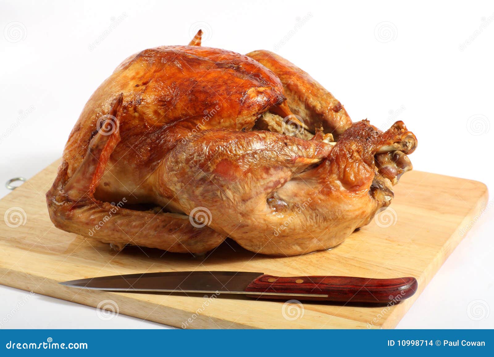 Roast Turkey High Angle View Stock Photo - Image of fowl, christmas ...