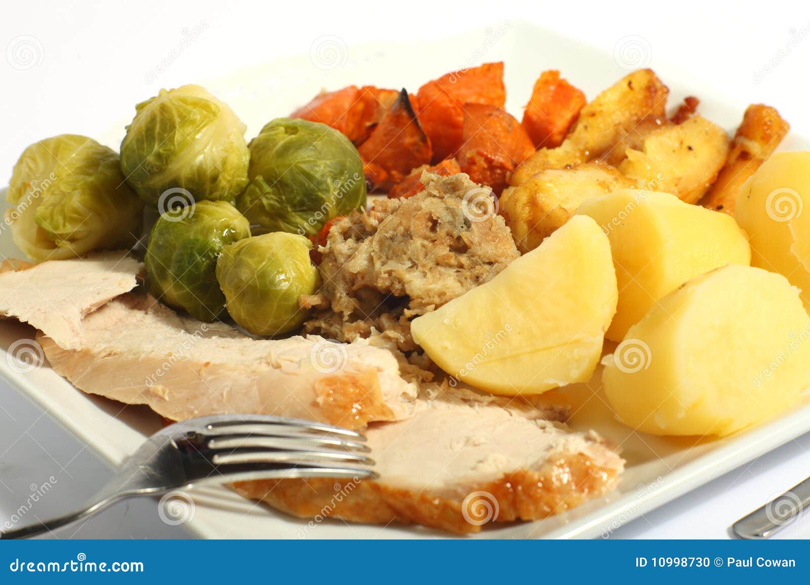 30,363 Stuffing Meal Stock Photos - Free & Royalty-Free Stock Photos ...