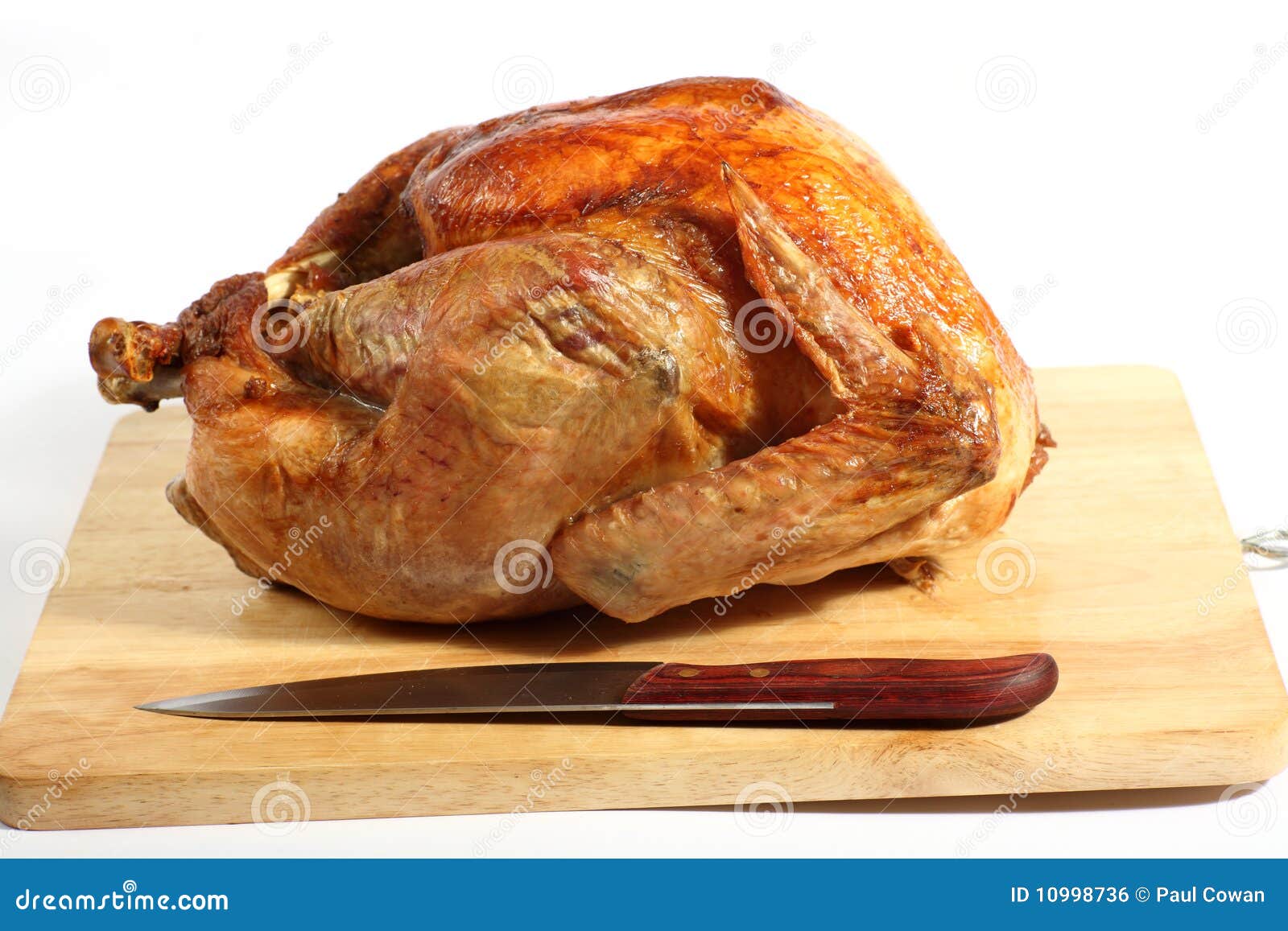 Roast turkey side view stock photo. Image of chopping - 10998736